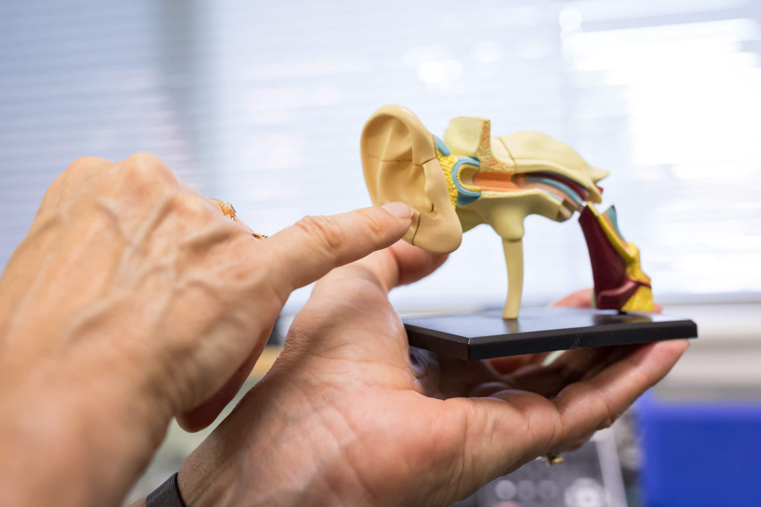 Hearing Protection and Preventing Further Hearing Loss | DWM Audiology